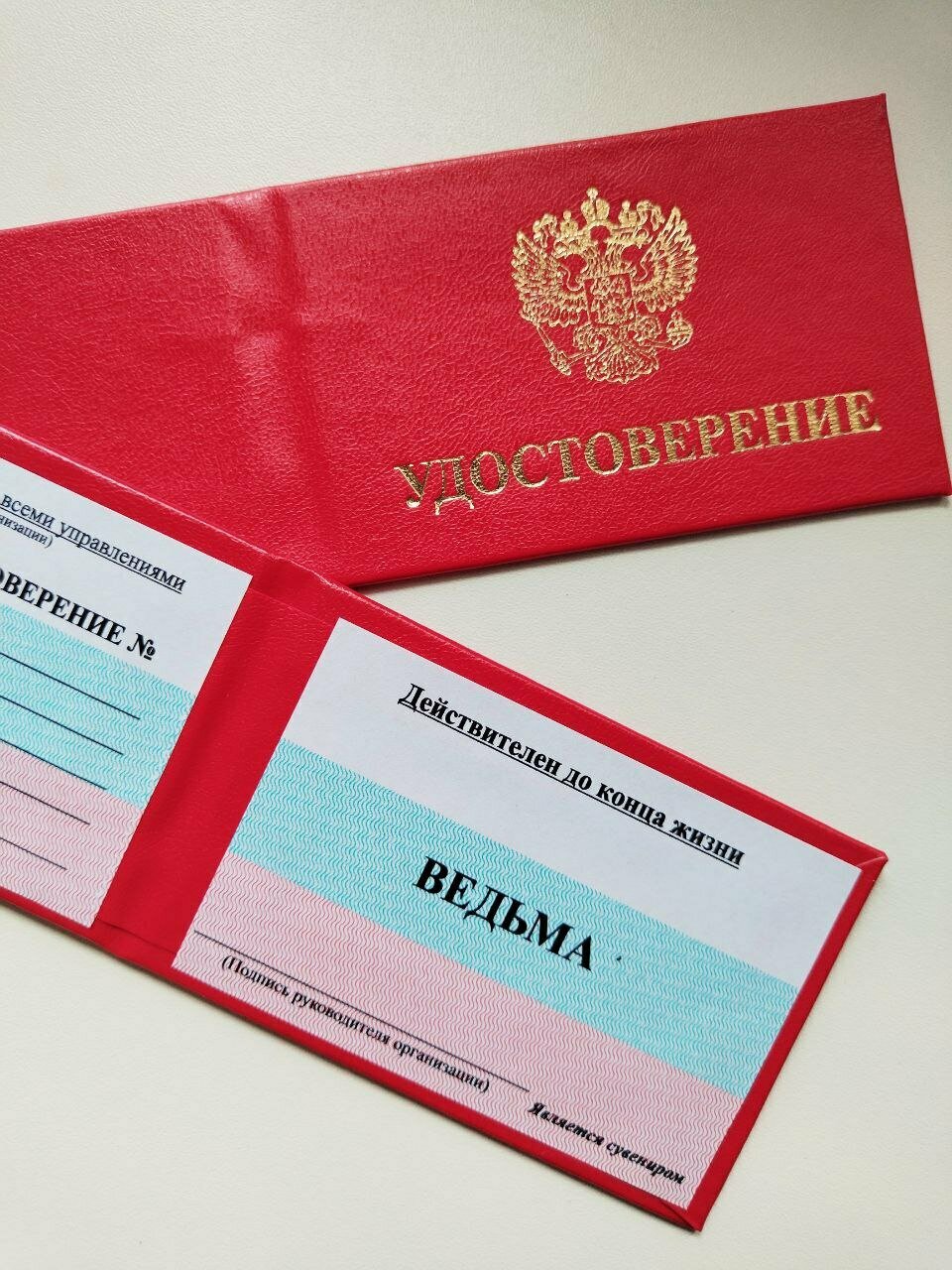 Удостоверение сувенирное ксива Ведьма