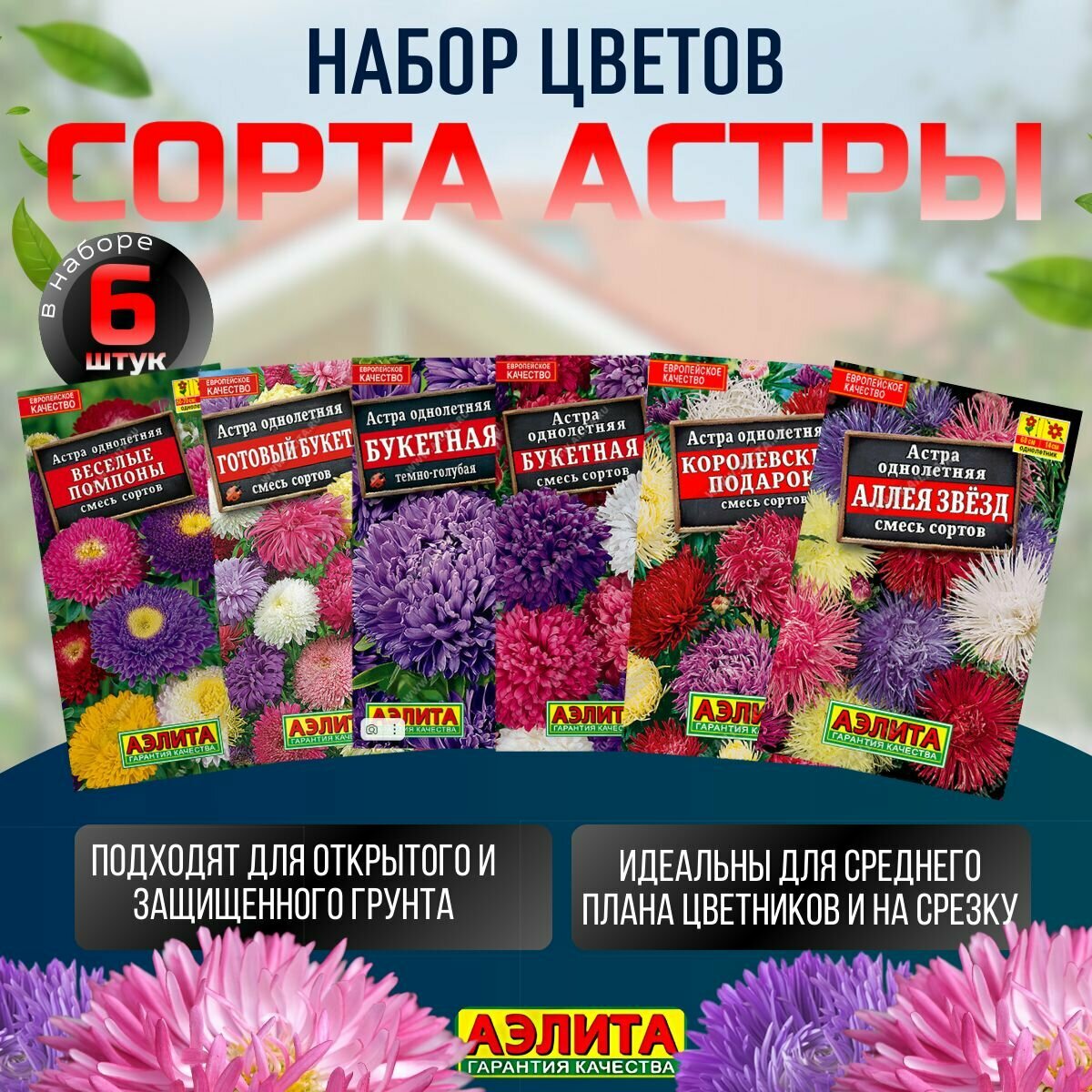 Набор семян однолетних астр аэлита "Королевский подарок", 6 сортов, для балкона, улицы и теплицы