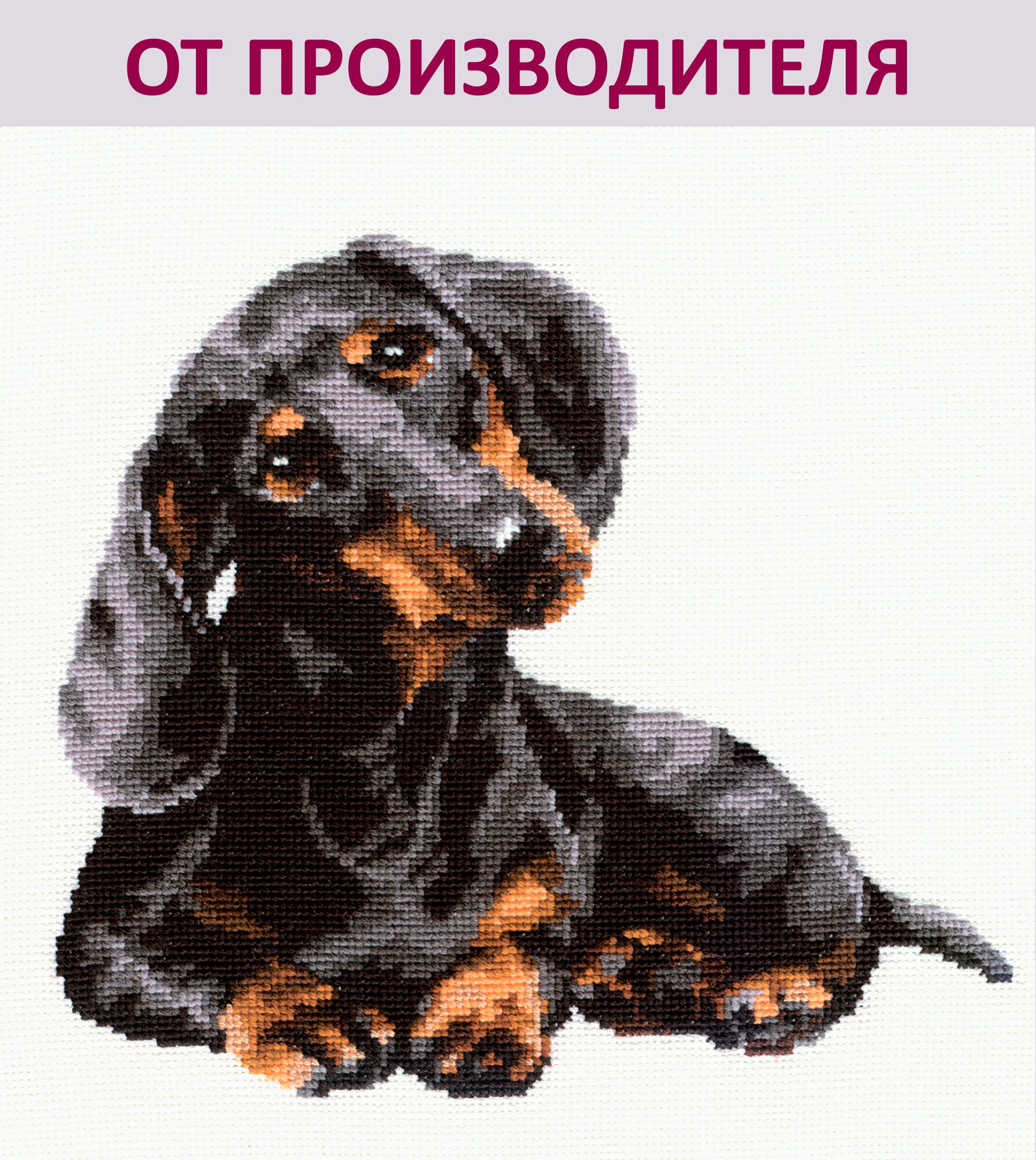 Набор для вышивания крестом Риолис, вышивка крестиком "Такса", 25 х 25 см, 906