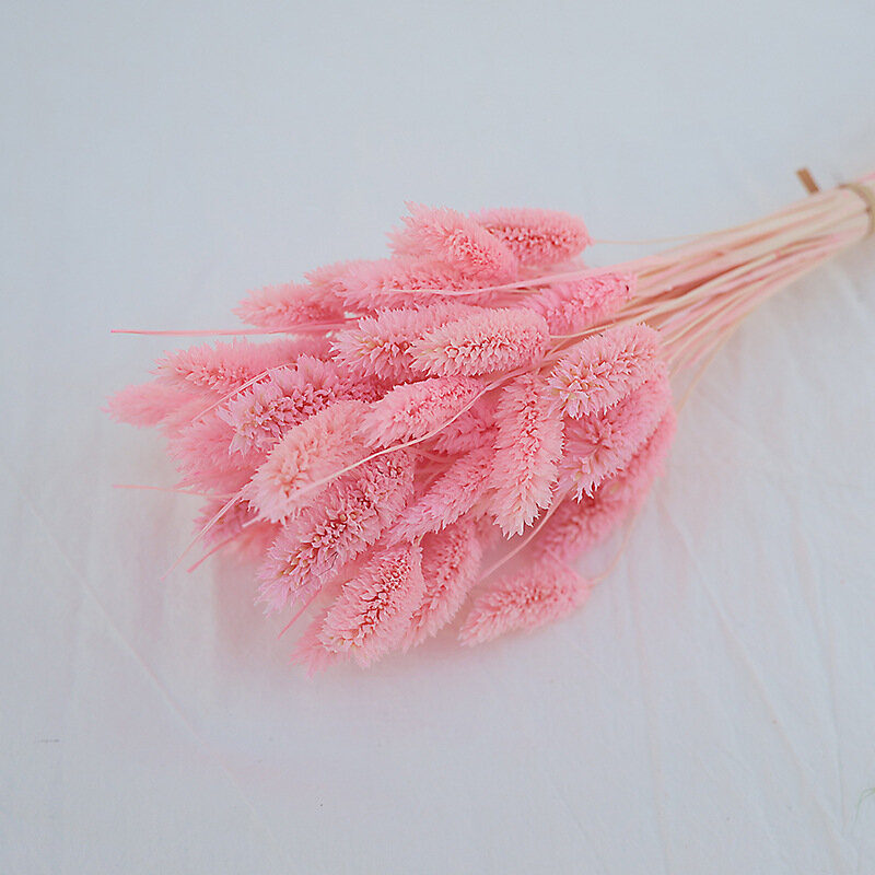 Пучок травы "Драгоценный камень", розовый, 50 палочек