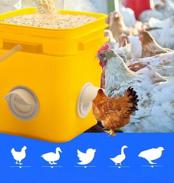 20 штук Автоматическая кормушка для кур и уток, автоматическое кормление, непромокаемая