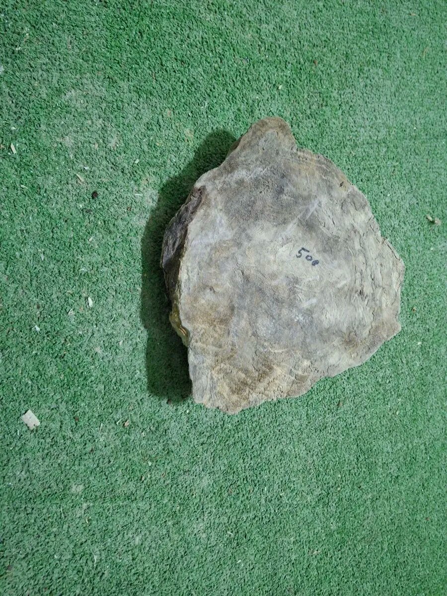 Слэб массив каповый тополь (210-200-50мм)