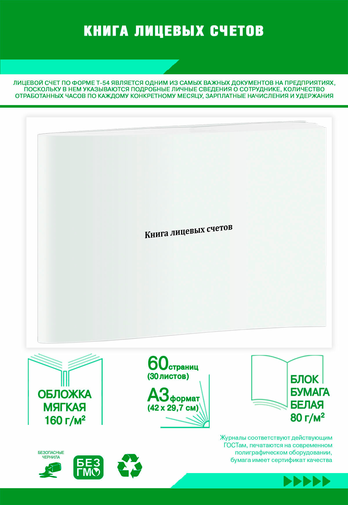 Книга лицевых счетов (формат А3) (60 страниц)