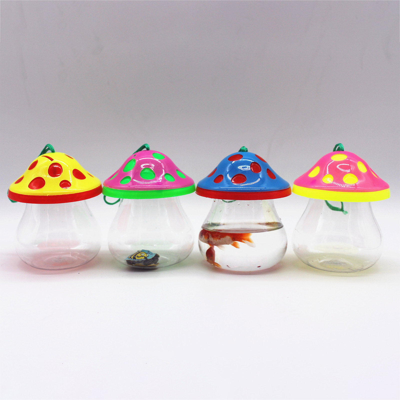 Круглый пластиковый аквариум для рыб и растений