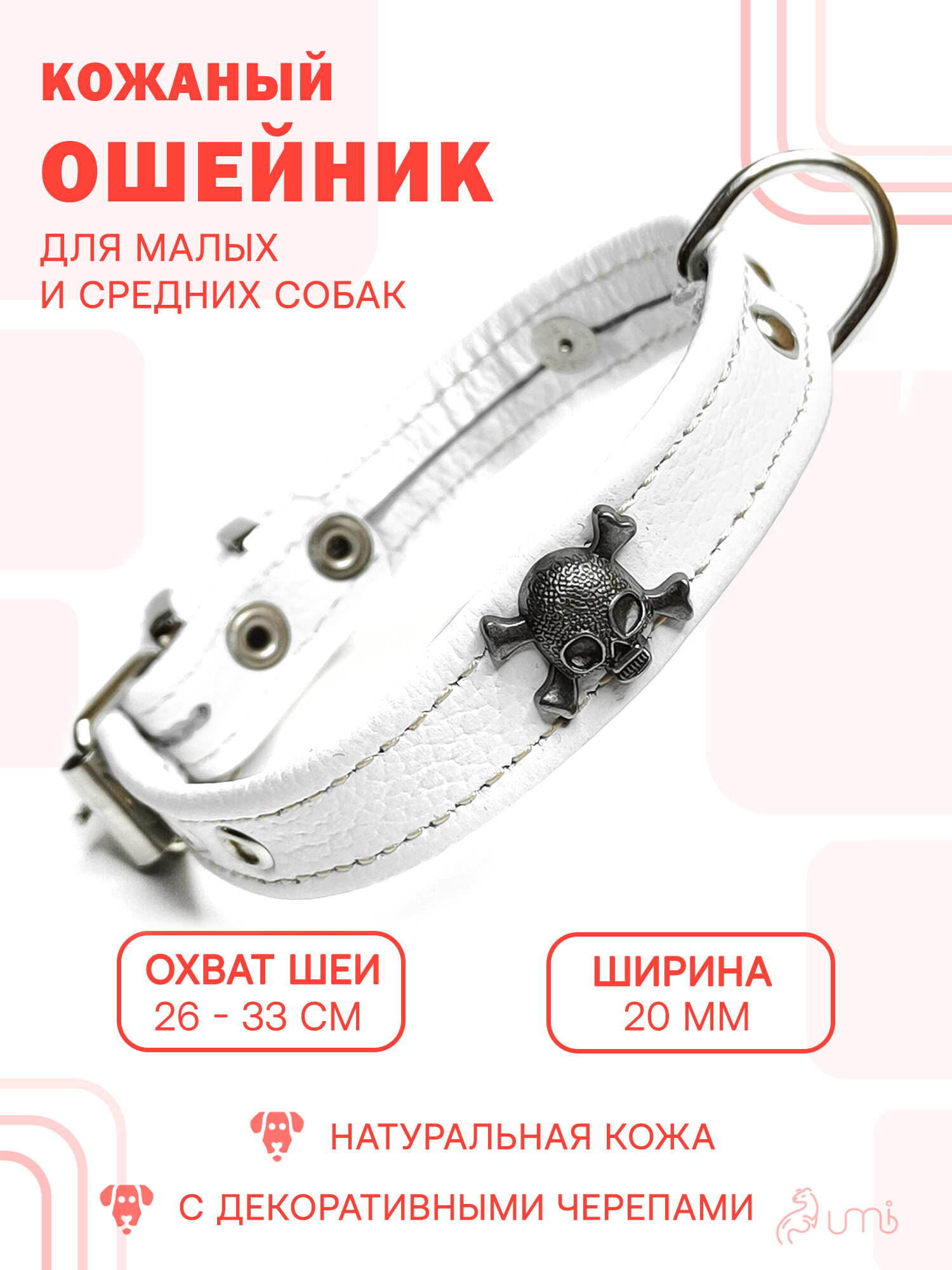Кожаный ошейник с декоративными черепами (обхват шеи 26-33 см) для малых и средних собак / Белый