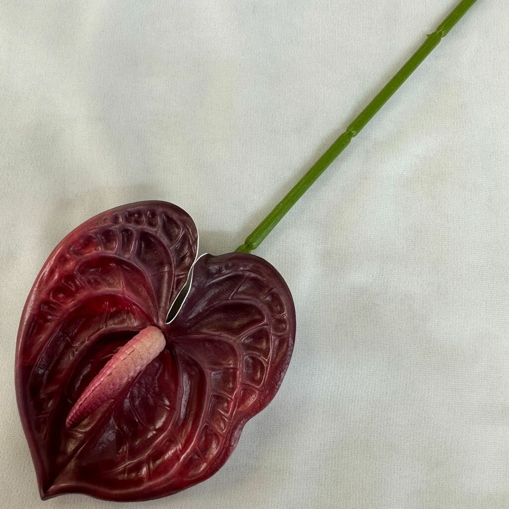 Антуриум андреанум линден декоративный цветок для современного интерьера и дмс проектов темно-красный