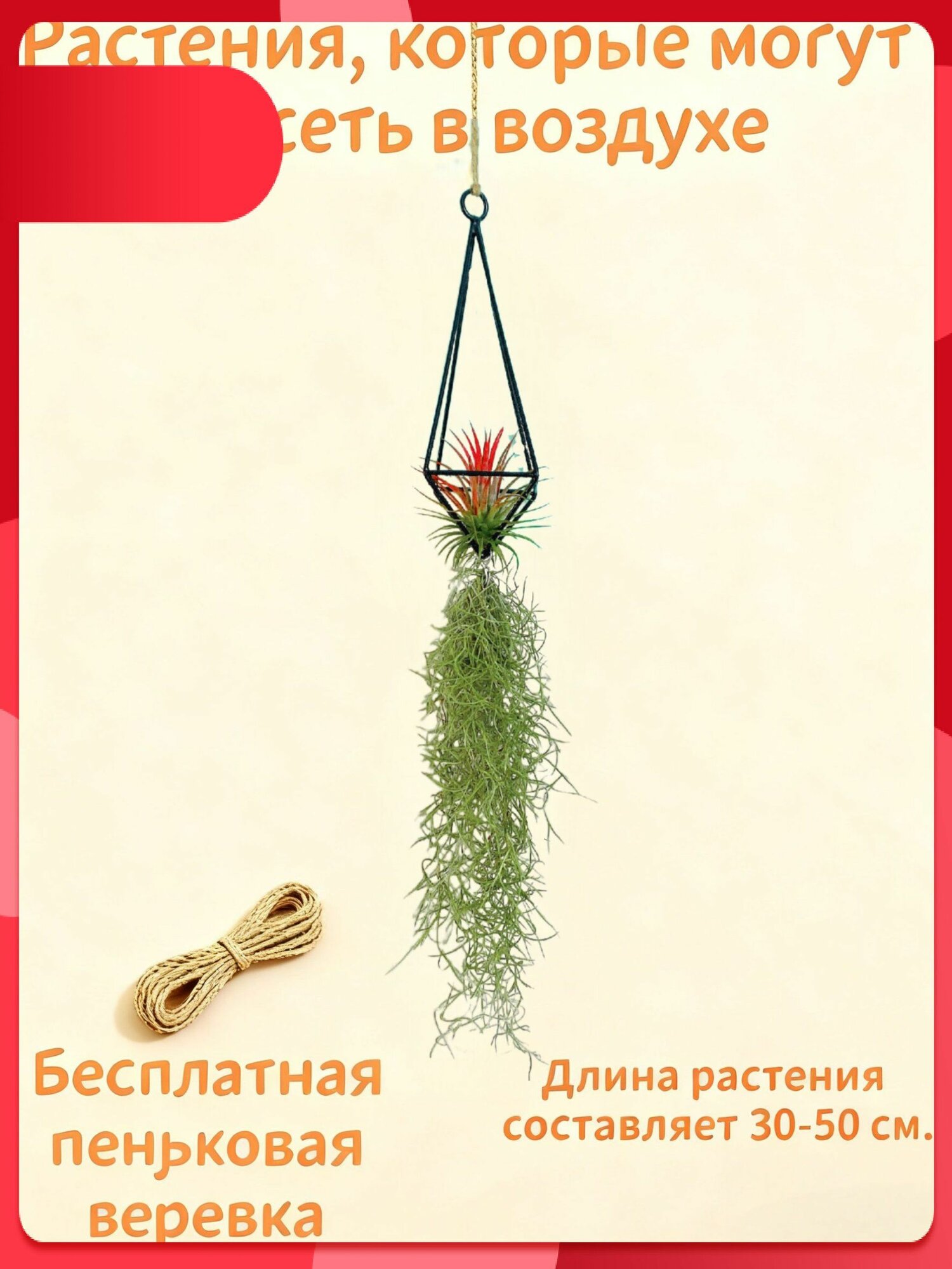 Цветы поштучно,1шт