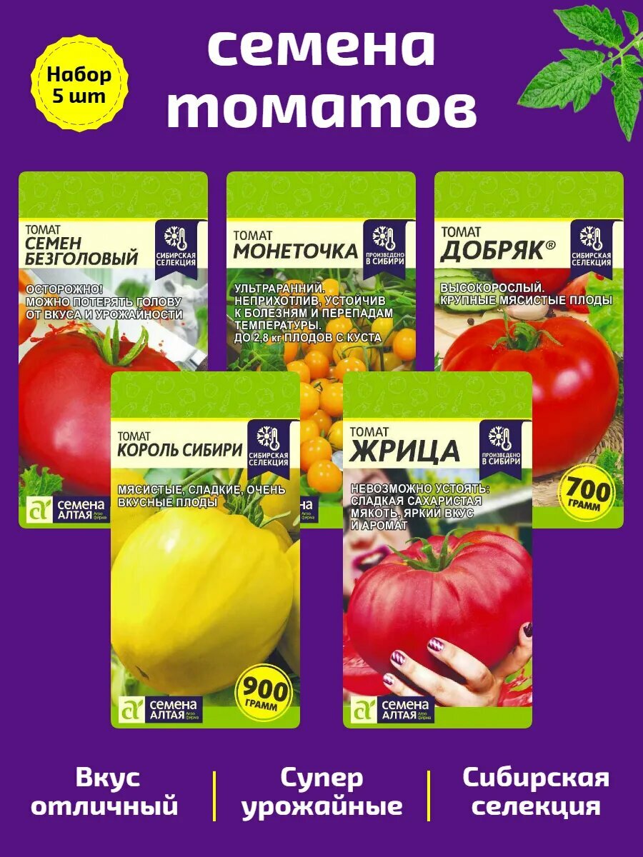 Томат "Король Сибири", "Монеточка", "Семен Безголовый", "Жрица", "Добряк", набор 5 шт.