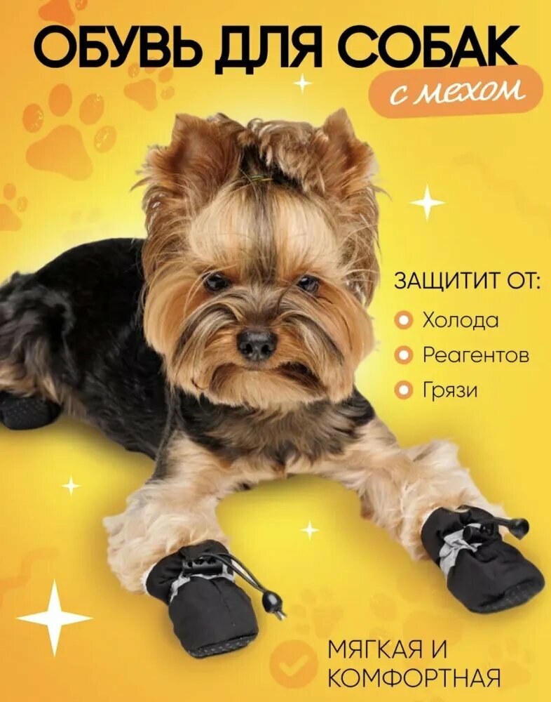 Обувь для собак