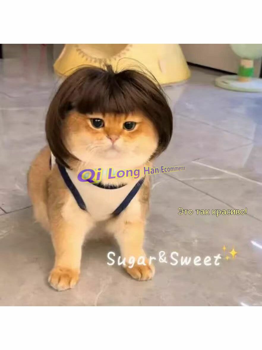 Кошачий парик, шерсть домашней кошки, собачья бахрома, реалистичная шерсть, забавный серый парик