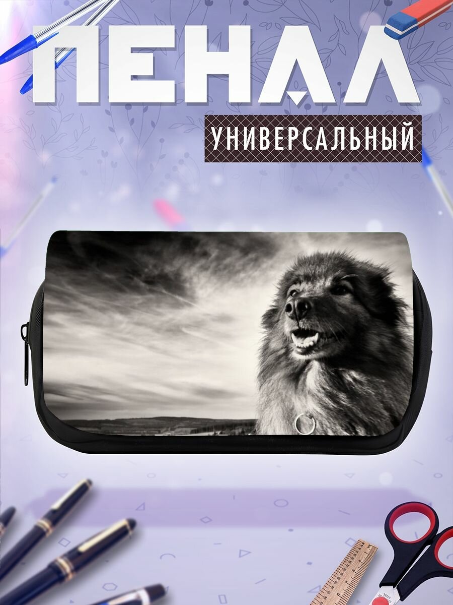 Школьный пенал черный и белый собака породы