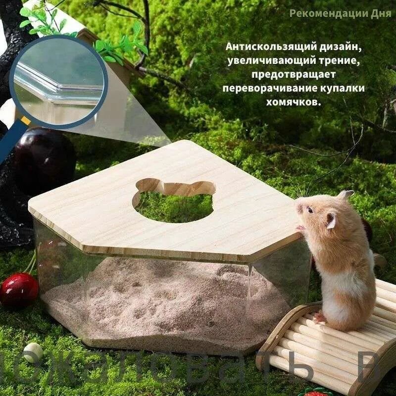 Купалка для мелких грызунов/Домик для хомяков