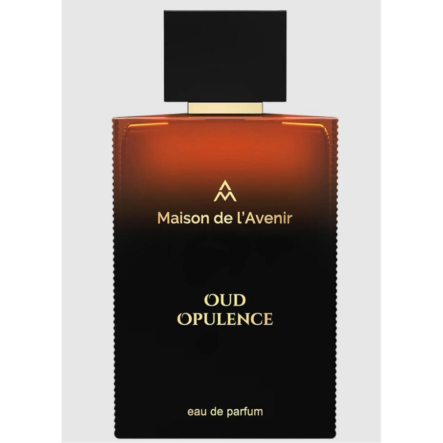 Парфюмерная вода Maison De L Avenir Oud Opulence 100 мл / Духи Мэзон Де Лавенир Уд Опьюленс / Роскошь Уда