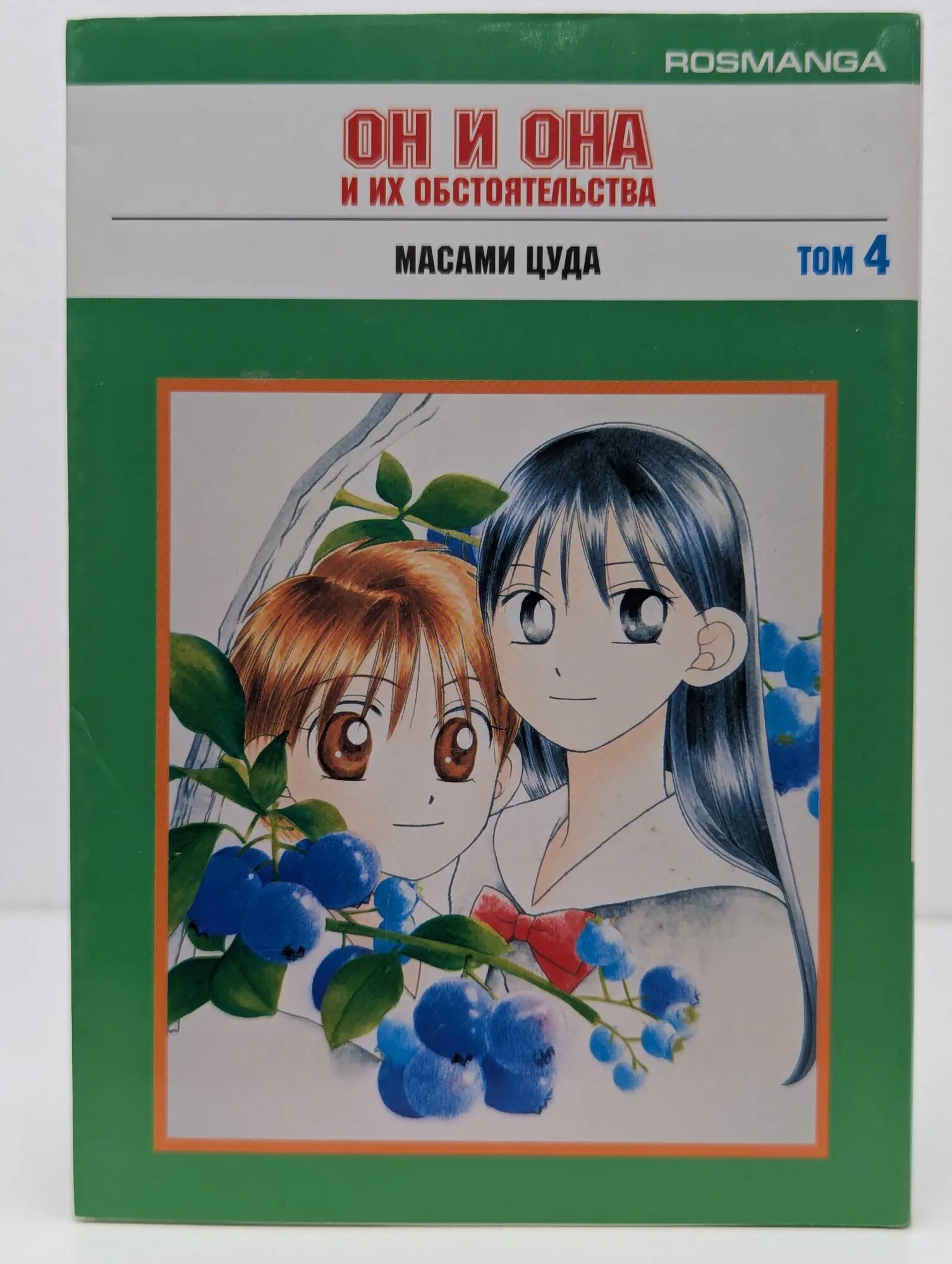 Rosmanga. Он и она и их обстоятельства. Том 4 Цуда Масами 2014