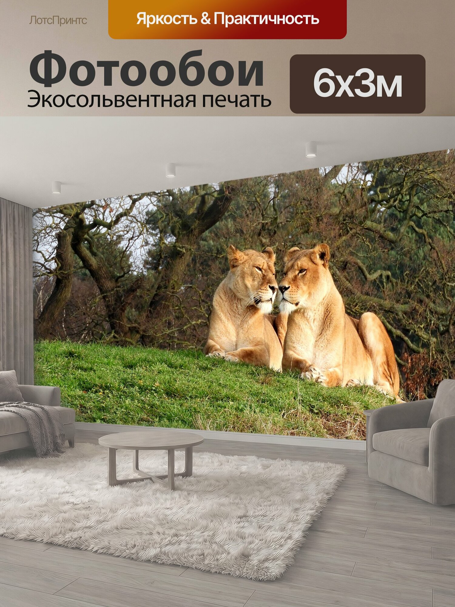 Фотообои "Лев, дикая природа, львица" 600x300 см. экосольвентная печать