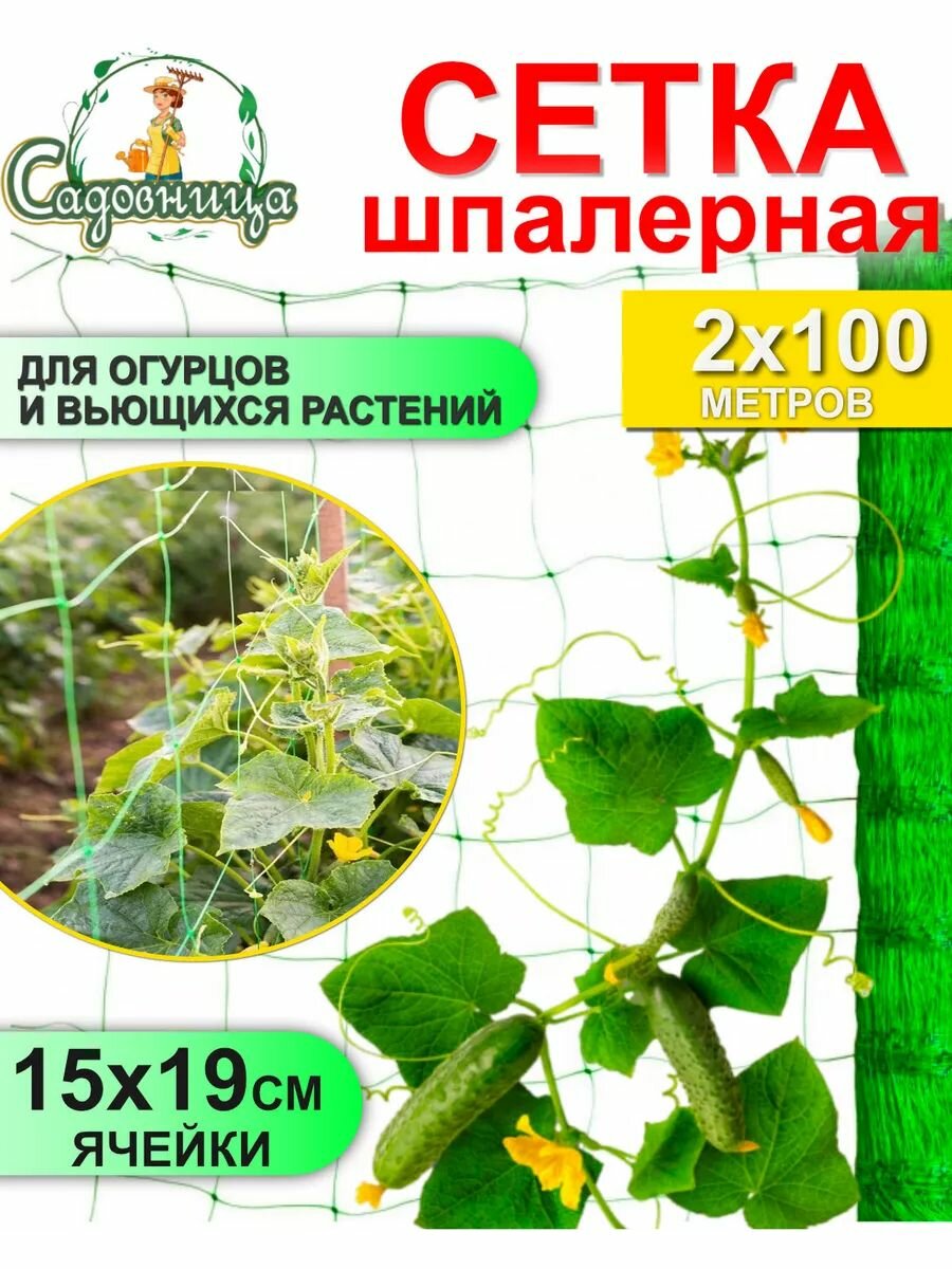 Сетка шпалерная для огурцов 2*100м (Хаки)