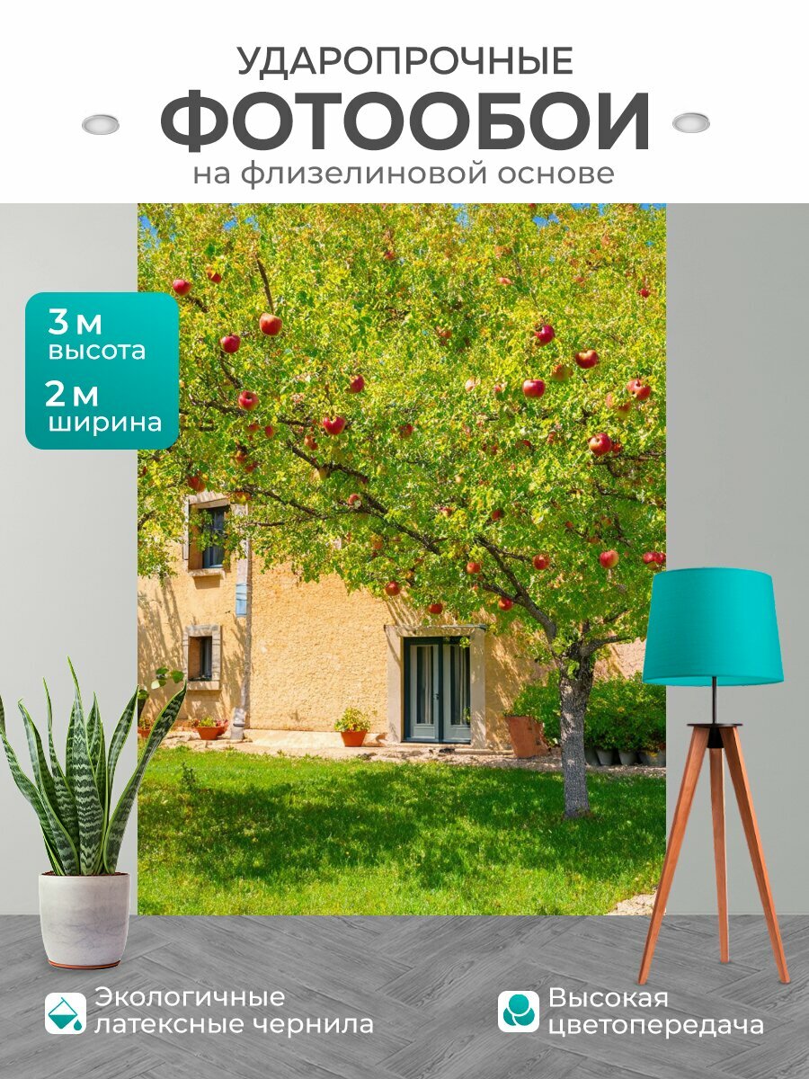 Фотообои моющиеся ударопрочные "Прованс, где дом в окружении яблонь напоминает о детских воспоминаниях о лете. теплые цвета создают ощущение уюта" 200x300 см. флизелиновые на стену