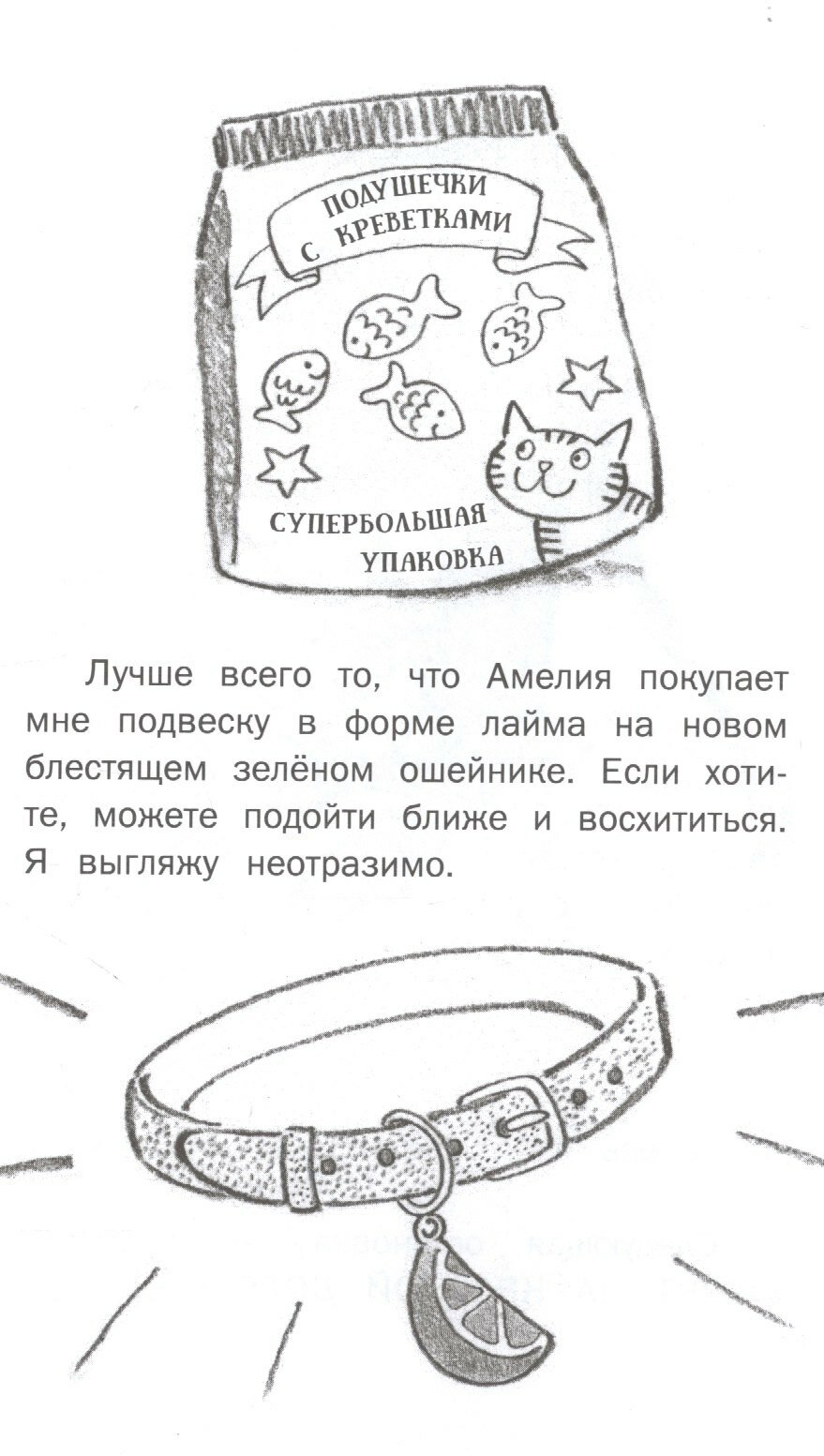 Кот Зефирчик - суперзвезда — фото 1