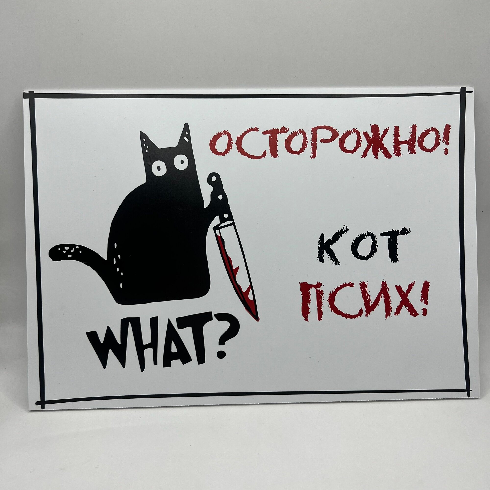 Табличка на дверь прикольная "Кот псих"