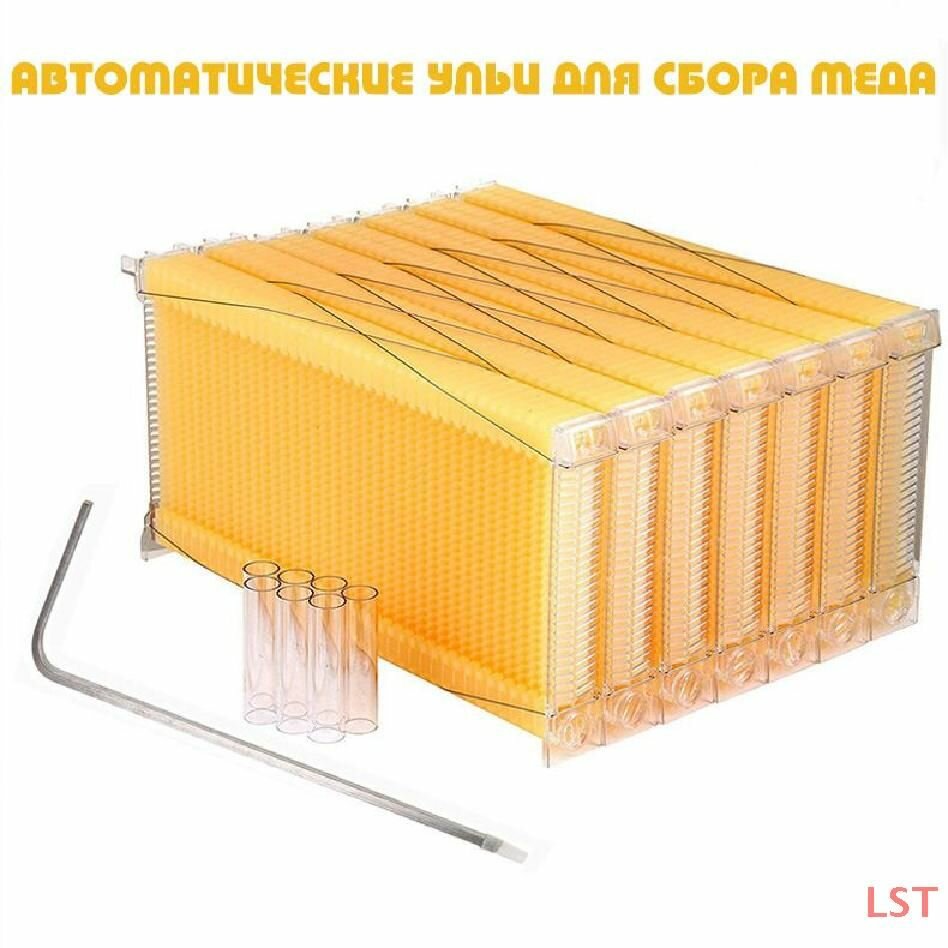 Улей