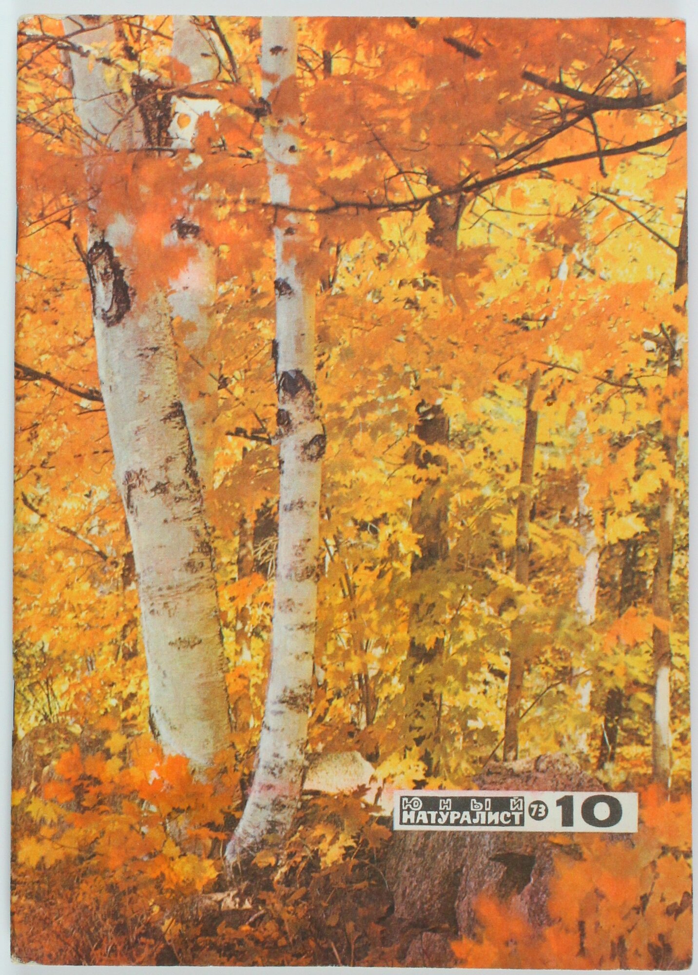 Винтажный журнал СССР Юный Натуралист, 1973 год