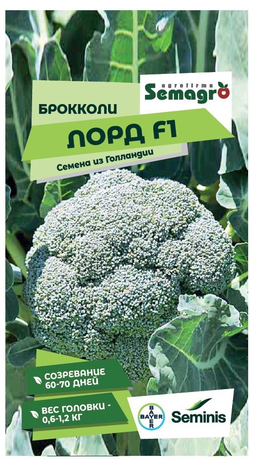 Семена овощей Seminis брокколи Лорд F1, (3 упак.)