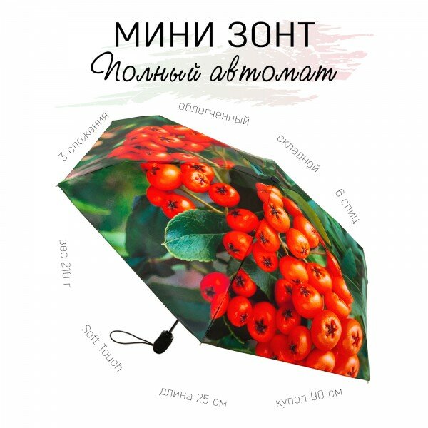 Зонты