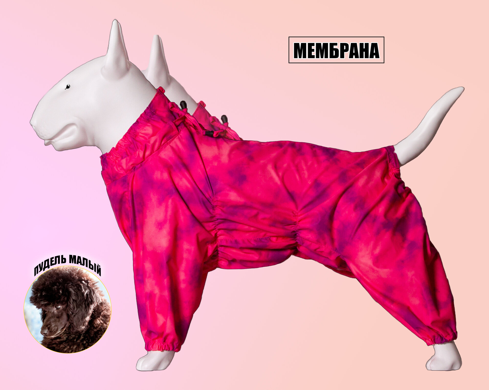 Комбинезон-дождевик для пуделя малого суки, мембрана, цвет розовый