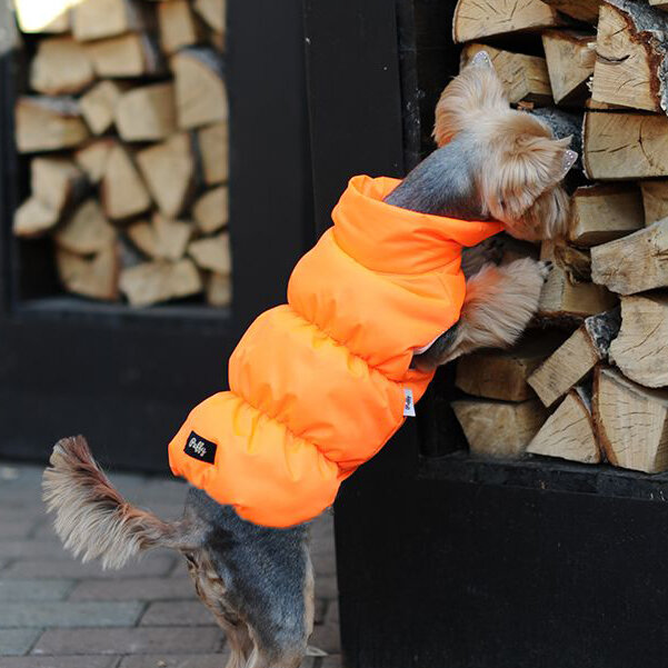 Дождевик-жилет для собак, на плюше, Puffy Флэш
