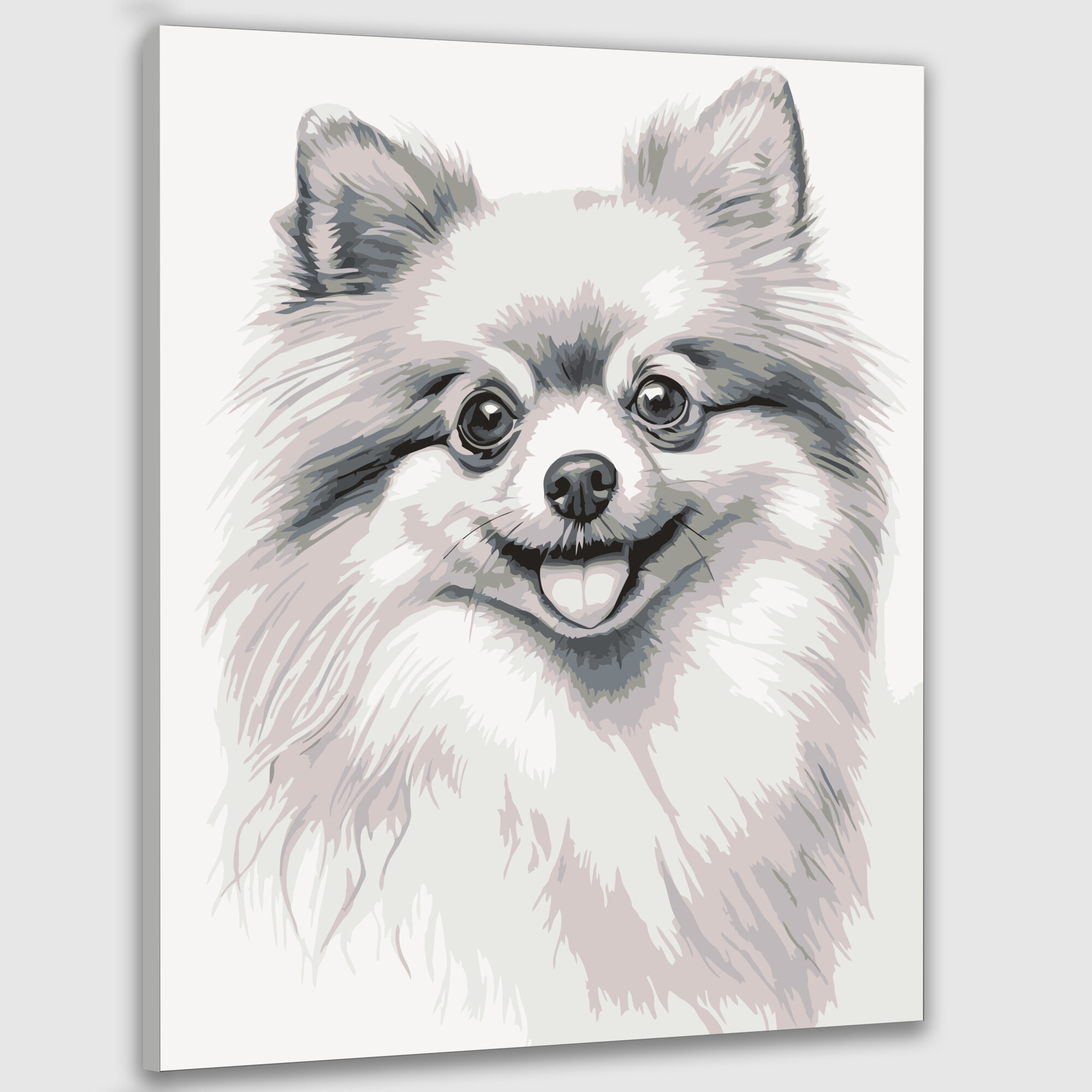 Картина по номерам 40x50 см, реалистичный рисунок, померанский шпиц, уголь, элегантность, грация, растушевка, детали