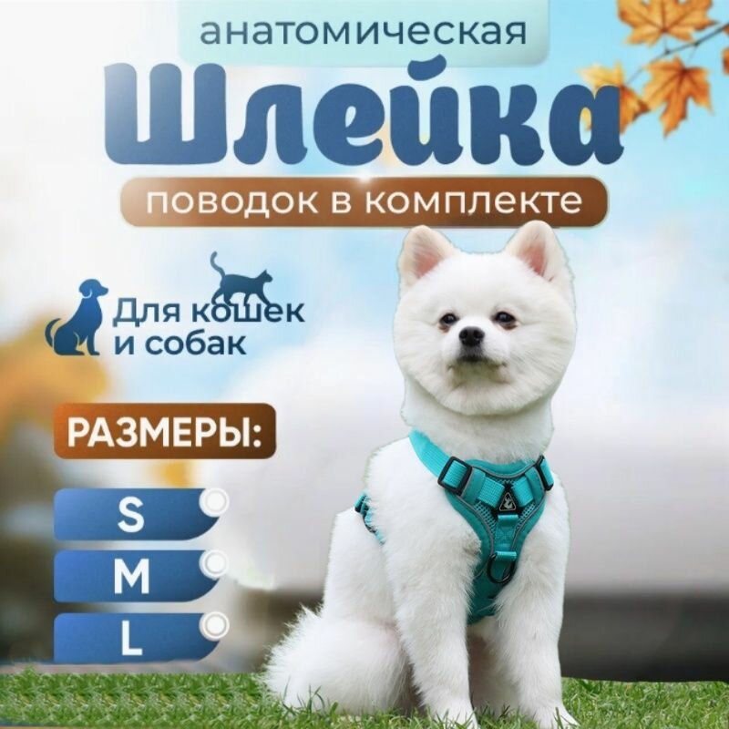 Шлейка для собак мелких пород/шлейка для кошек,1,5м, код S