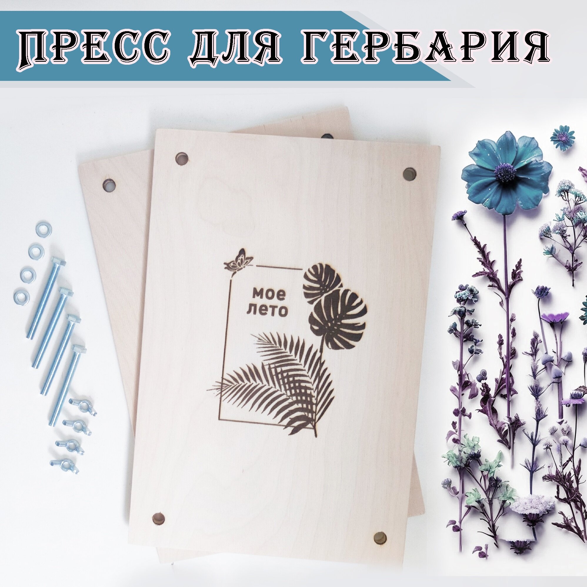 Пресс для гербария