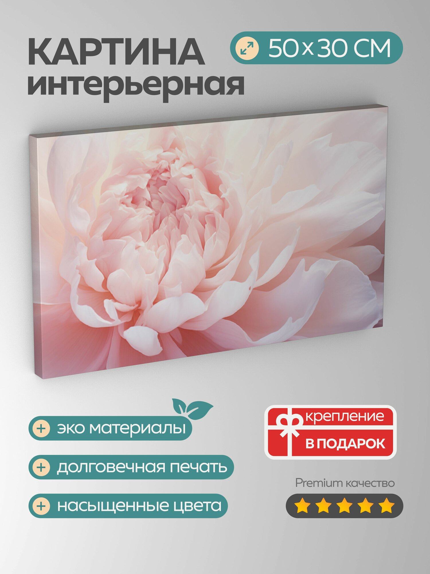 Картина на холсте интерьерная 50х30 см, пион, разрешение, макрообъектив, детали, нежно-розовый, кремово-белый