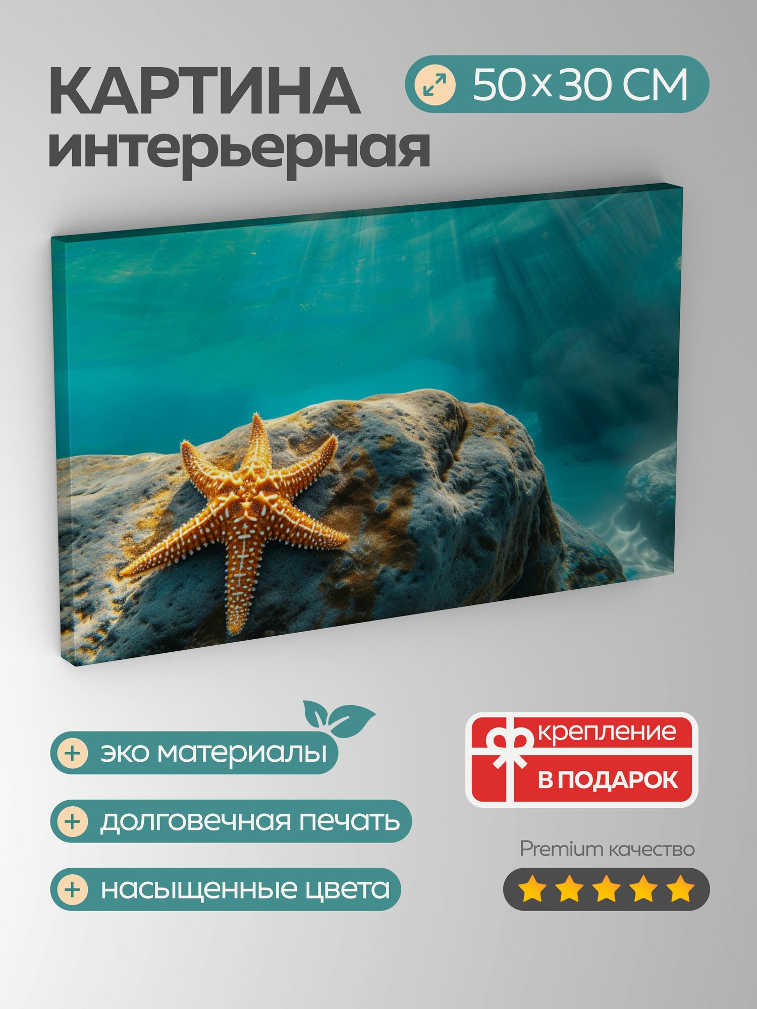 Картина на холсте интерьерная 50х30 см, фотография, морская звезда, скала, бирюзовые воды, море, подводный мир