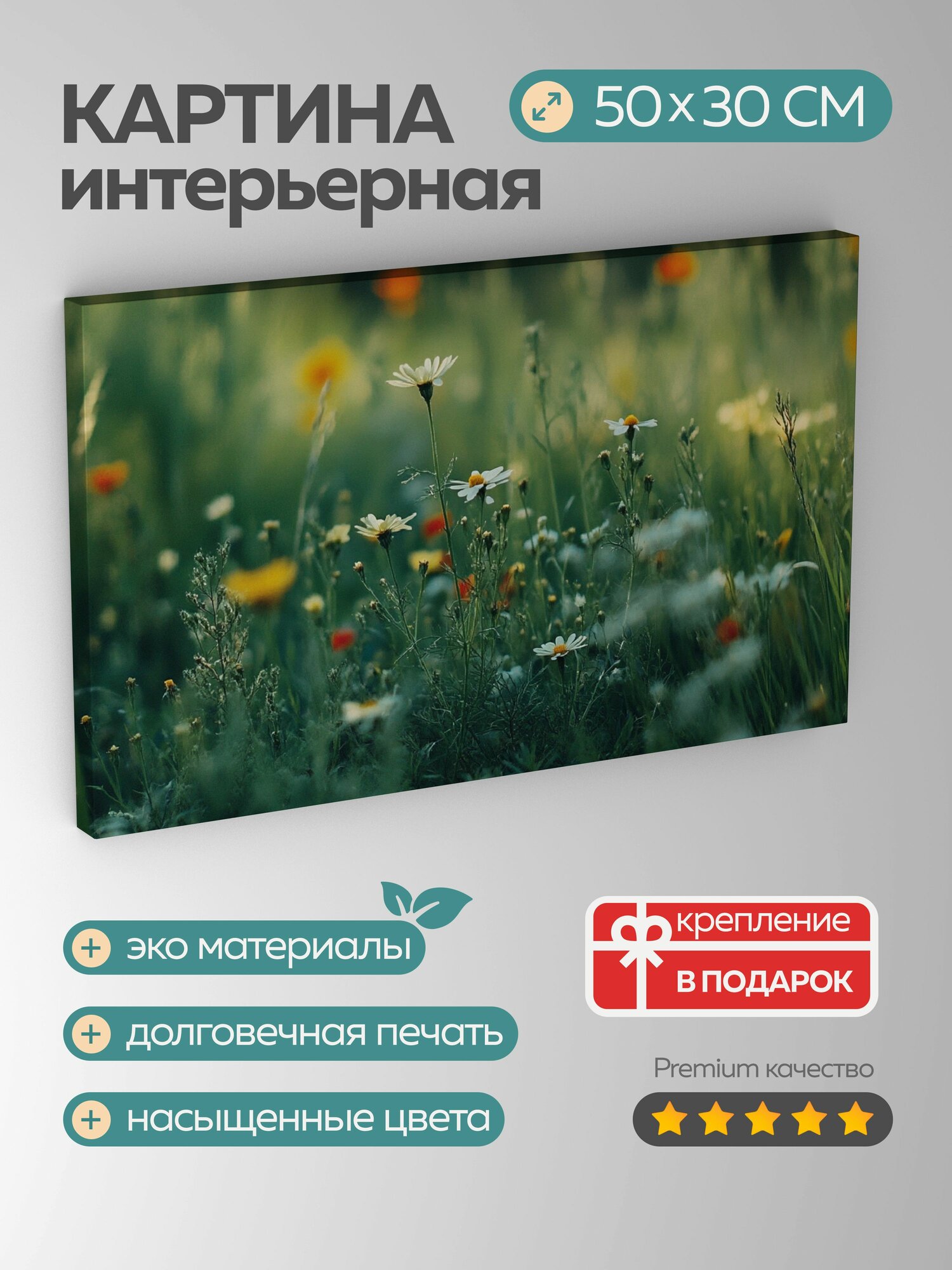 Картина на холсте интерьерная 50х30 см, Зеленый луг, цветы, трава, природа, масштаб, детали, красота, фотография