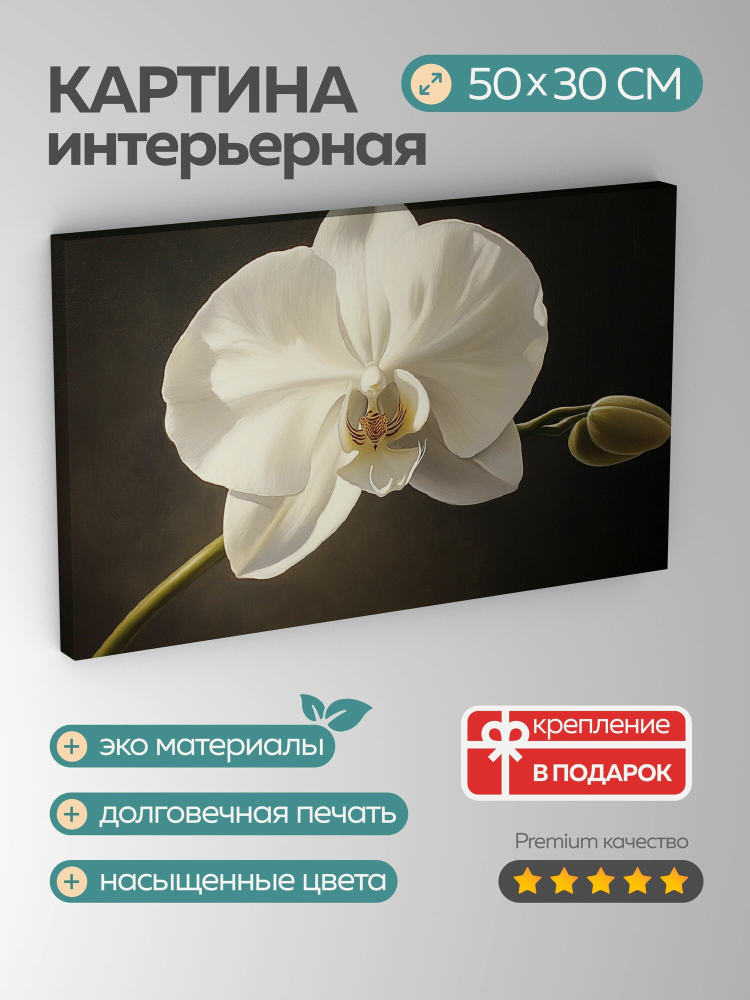 Картина на холсте интерьерная 50х30 см, орхидея, масляная картина, гиперреализм, свет и тень, детализация, утонченность