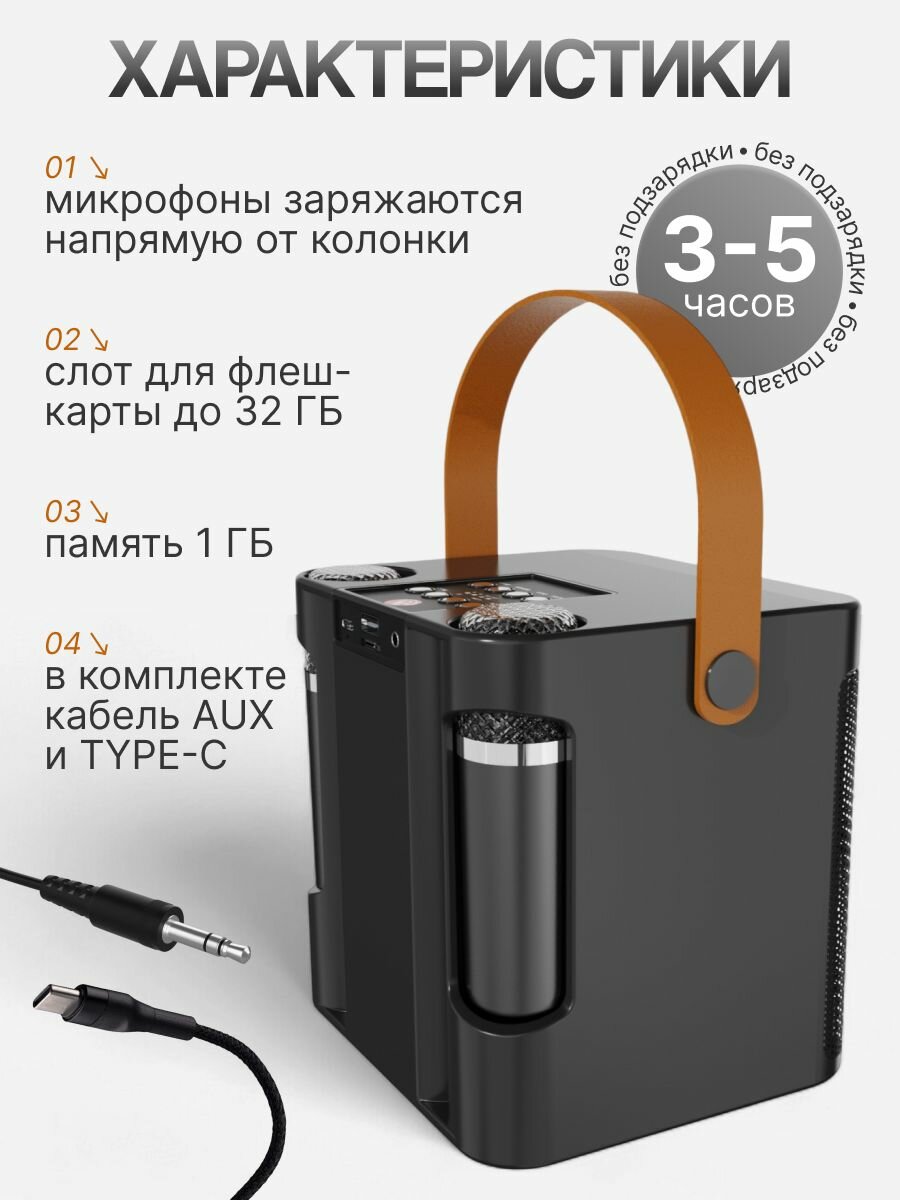 Караоке-система — фото 1