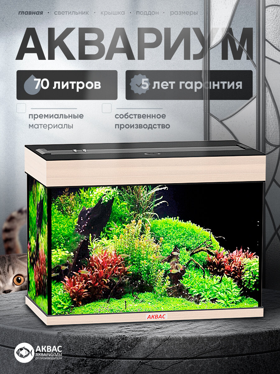 Аквариум 70 литров с крышкой и освещением, (61*31*46 см) Аквас
