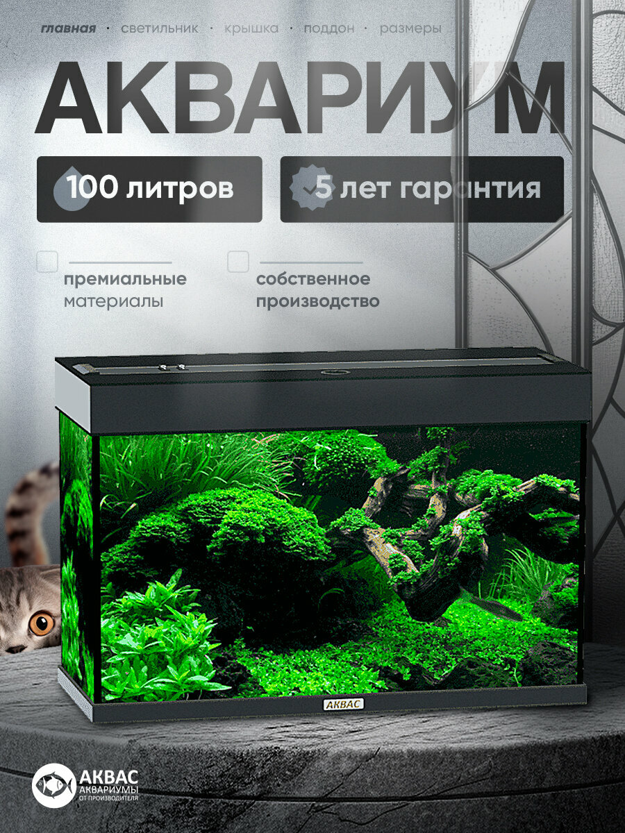 Аквариум 100 литров с крышкой и освещением, (76*31*52 см) Аквас