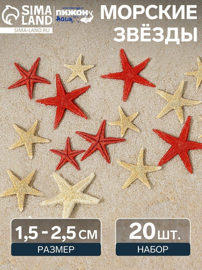 Набор натуральных морских звезд, 1.5 - 2.5 см, 20 шт, красные - белые