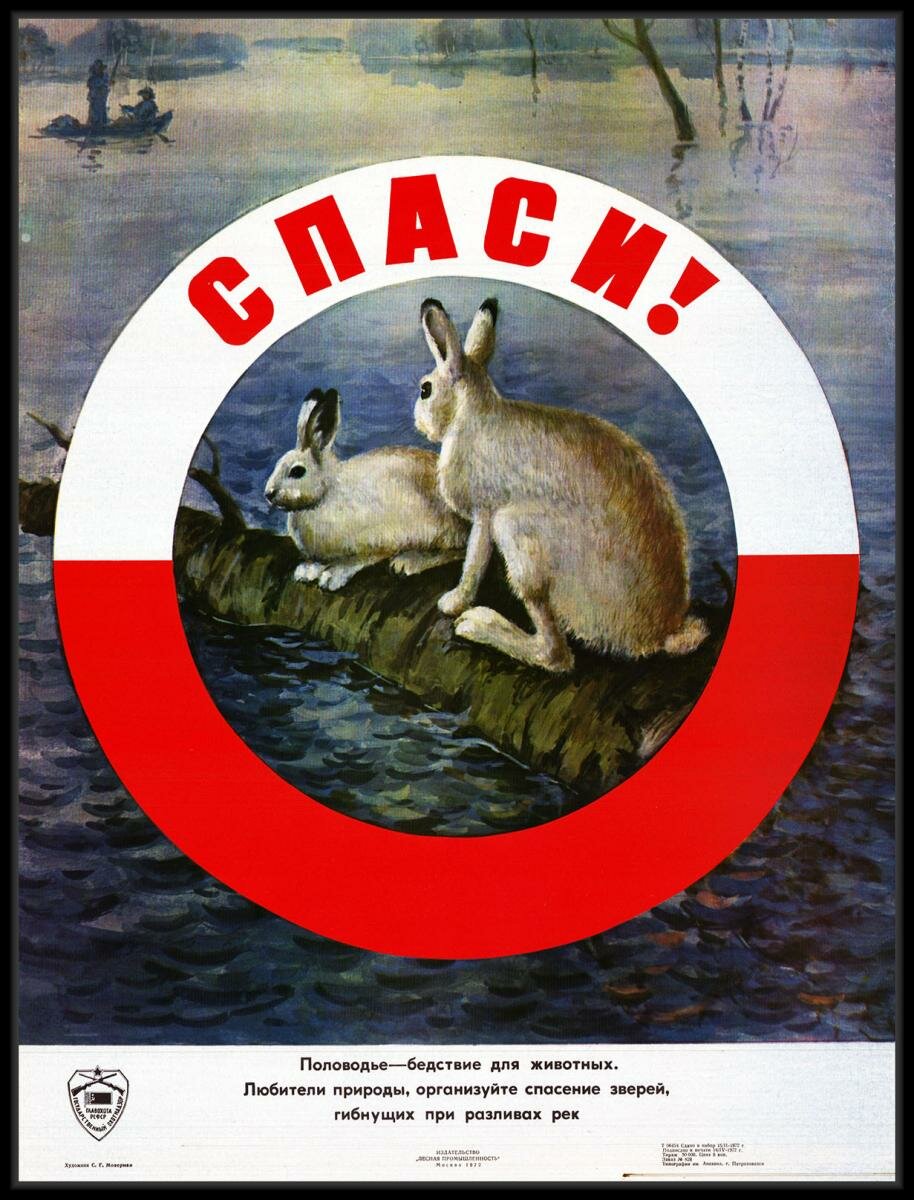 Советские плакаты - охота, рыбалка, браконьерство; Антиквариат 1972 г; Декор настенный винтажный 44/58 см.