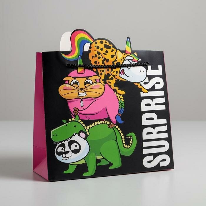 !09 Пакет подарочный Surpprise, набор 2 штуки, 25 × 26 × 10 см.