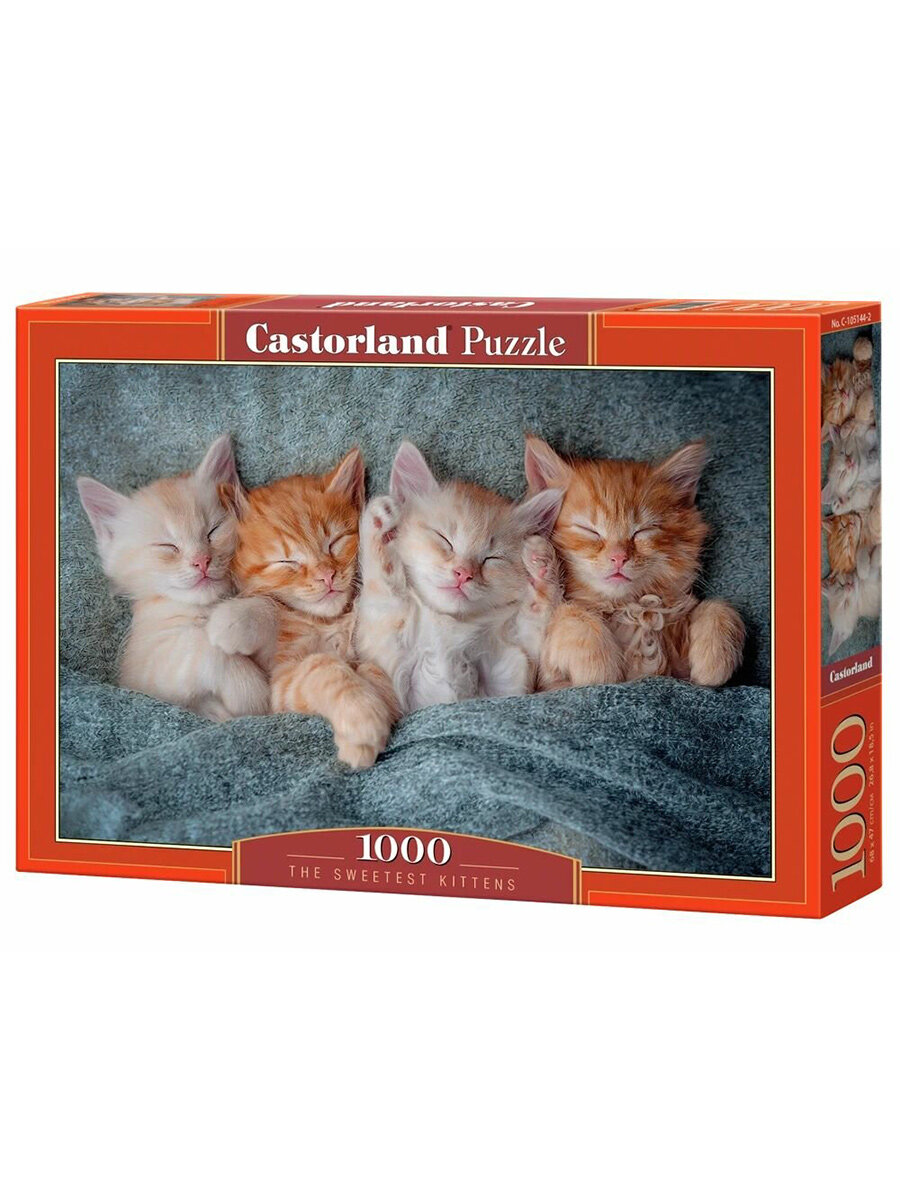 Castorland Пазлы Сладкие котята 1000 деталей 5144/C-105144 с 10 лет