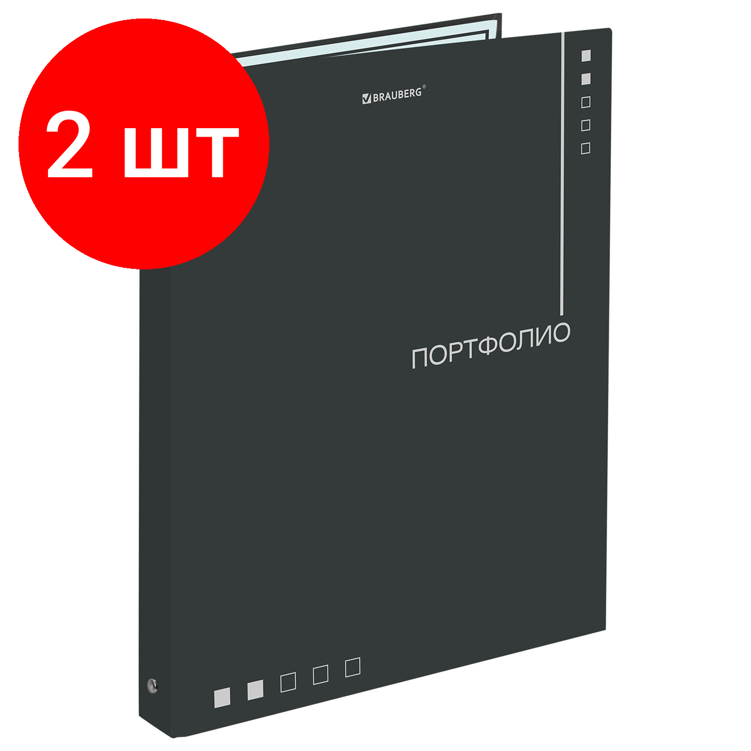 Комплект 2 шт, Папка-портфолио универсальная, 4 кольца, 20 файлов 10 вкладышей, 7БЦ матовая, BRAUBERG, 117553