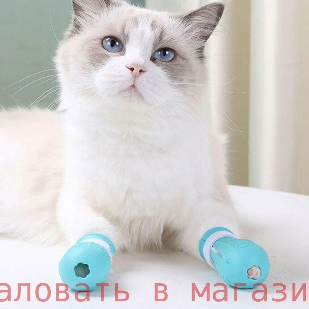 4шт. Антицарапки для кошек/ Защита от царапин во время груминга купания/ Мягкие силиконовые чехлы для кошачьих лап