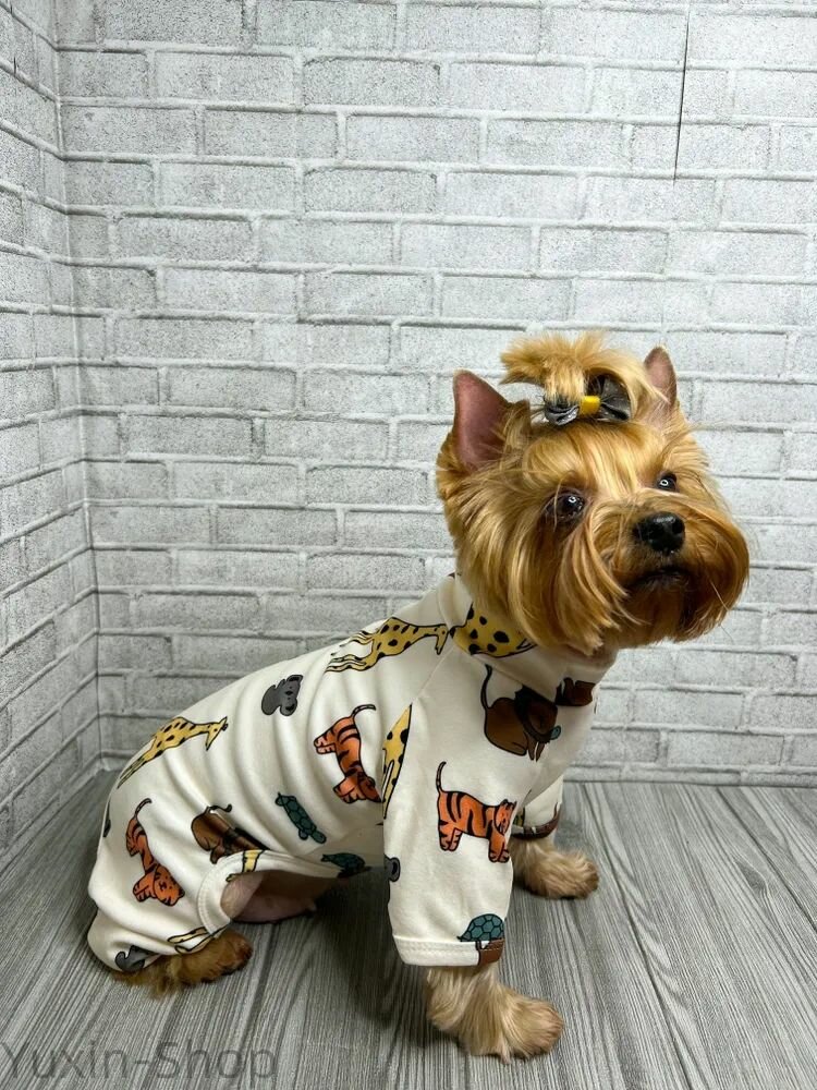 Одежда для животных — фото 1