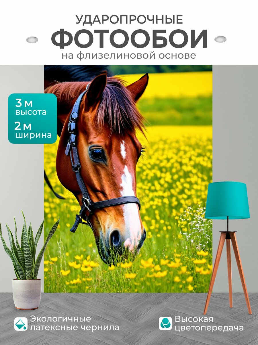 Фотообои моющиеся ударопрочные "Лошадь, увлеченно сосредоточенная на траве, рядом с ней цветущий луг" 200x300 см. флизелиновые на стену