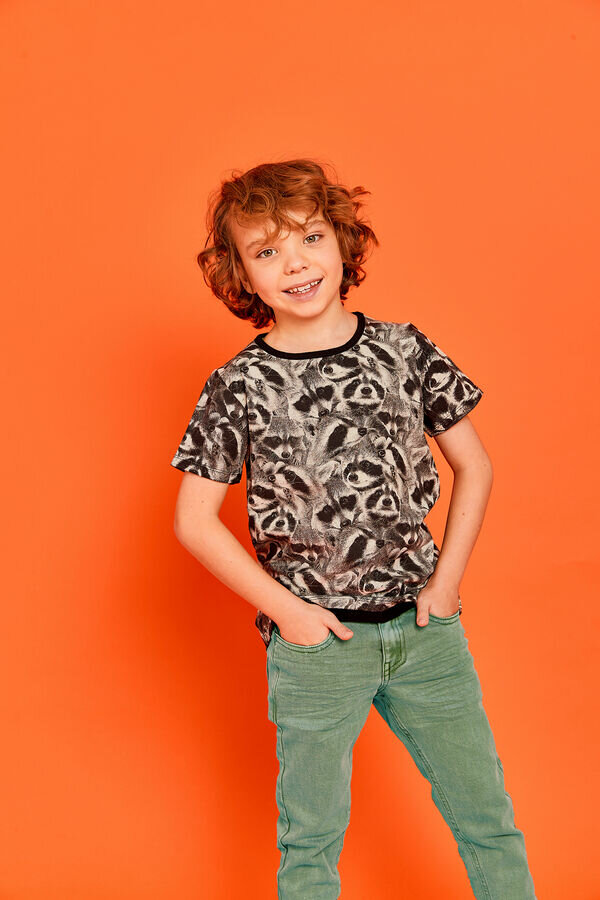 Футболка еноты