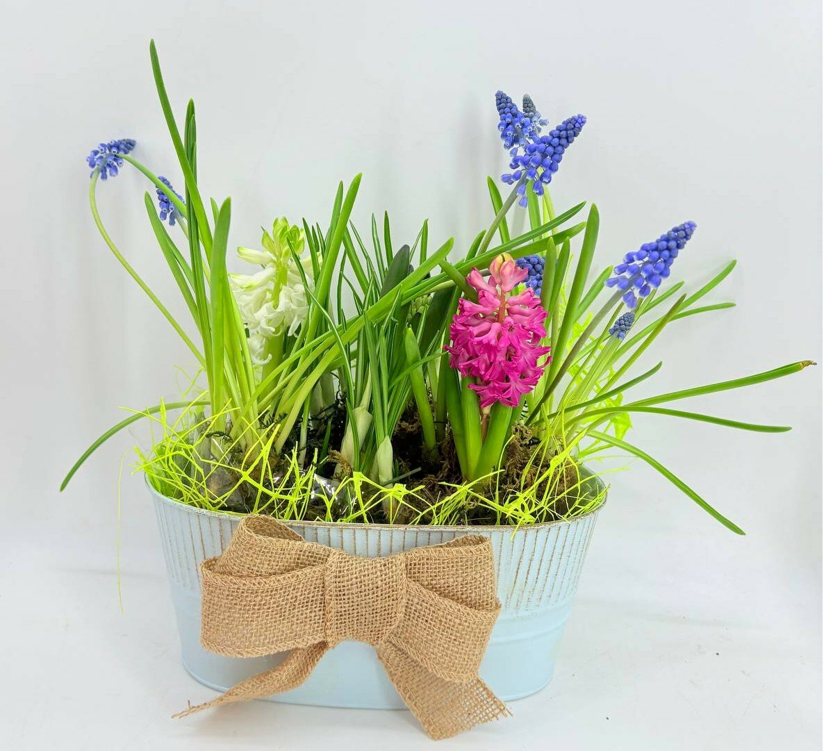 Подарочное кашпо жестяное ведёрко с первоцветами гиацинт, крокус, мускари. Подарок на 14 февраля и 8 марта