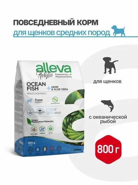 Alleva Holistic Puppy/Junior Ocean Fish Medium сухой корм для щенков средних пород с океанической рыбой, коноплей и алое вера 800 г